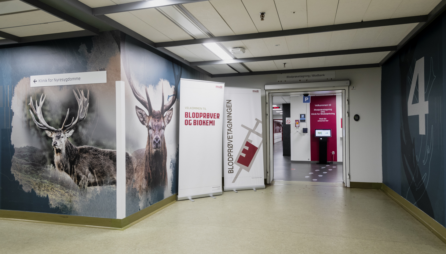 Blodprøvetagning og EKG i Viborg - Hospitalsenhed Midt